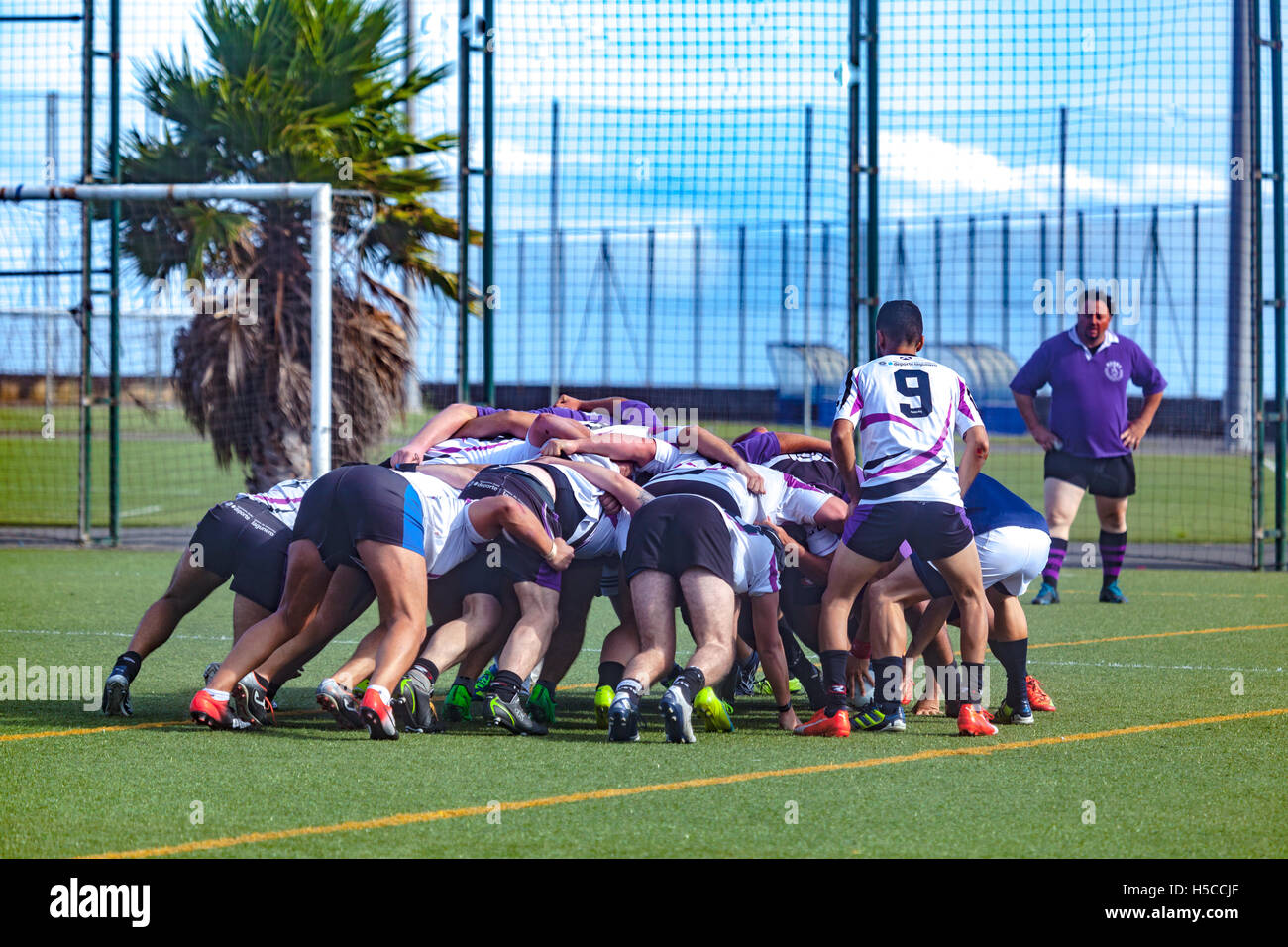 male adult rugby match Stock Photo - Alamy