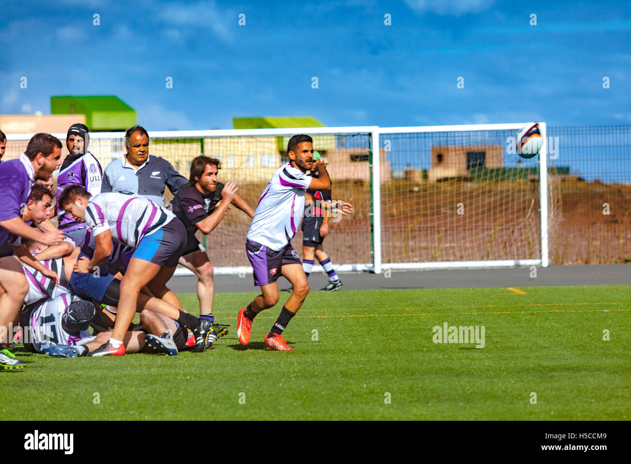 male adult rugby match Stock Photo - Alamy