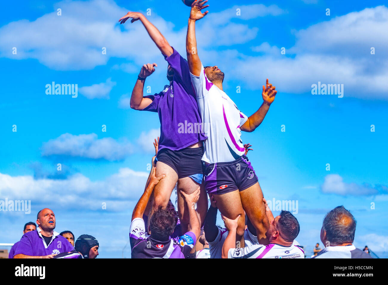 male adult rugby match Stock Photo - Alamy