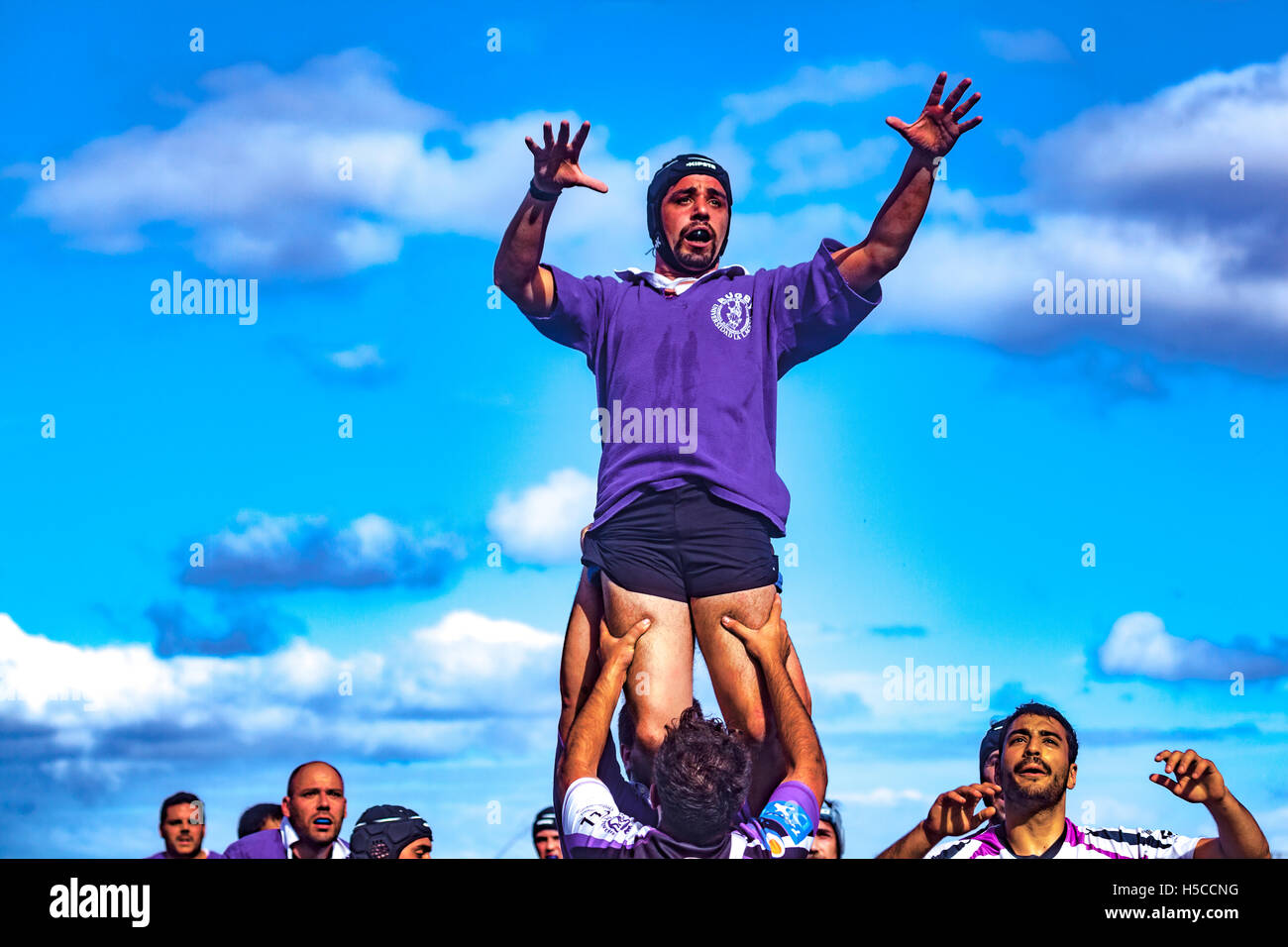 male adult rugby match Stock Photo - Alamy