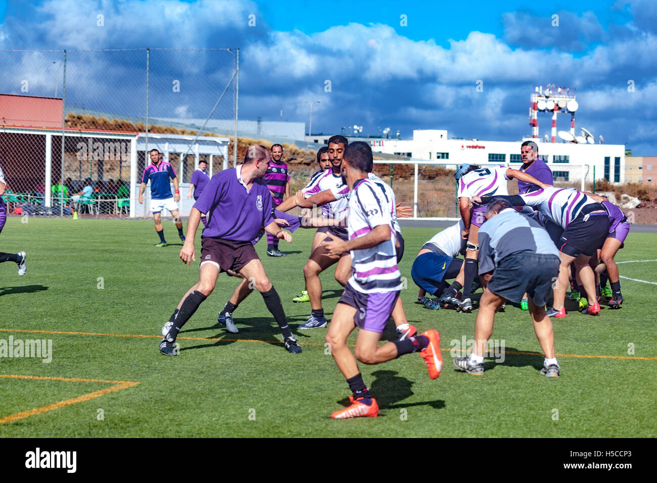 male adult rugby match Stock Photo - Alamy