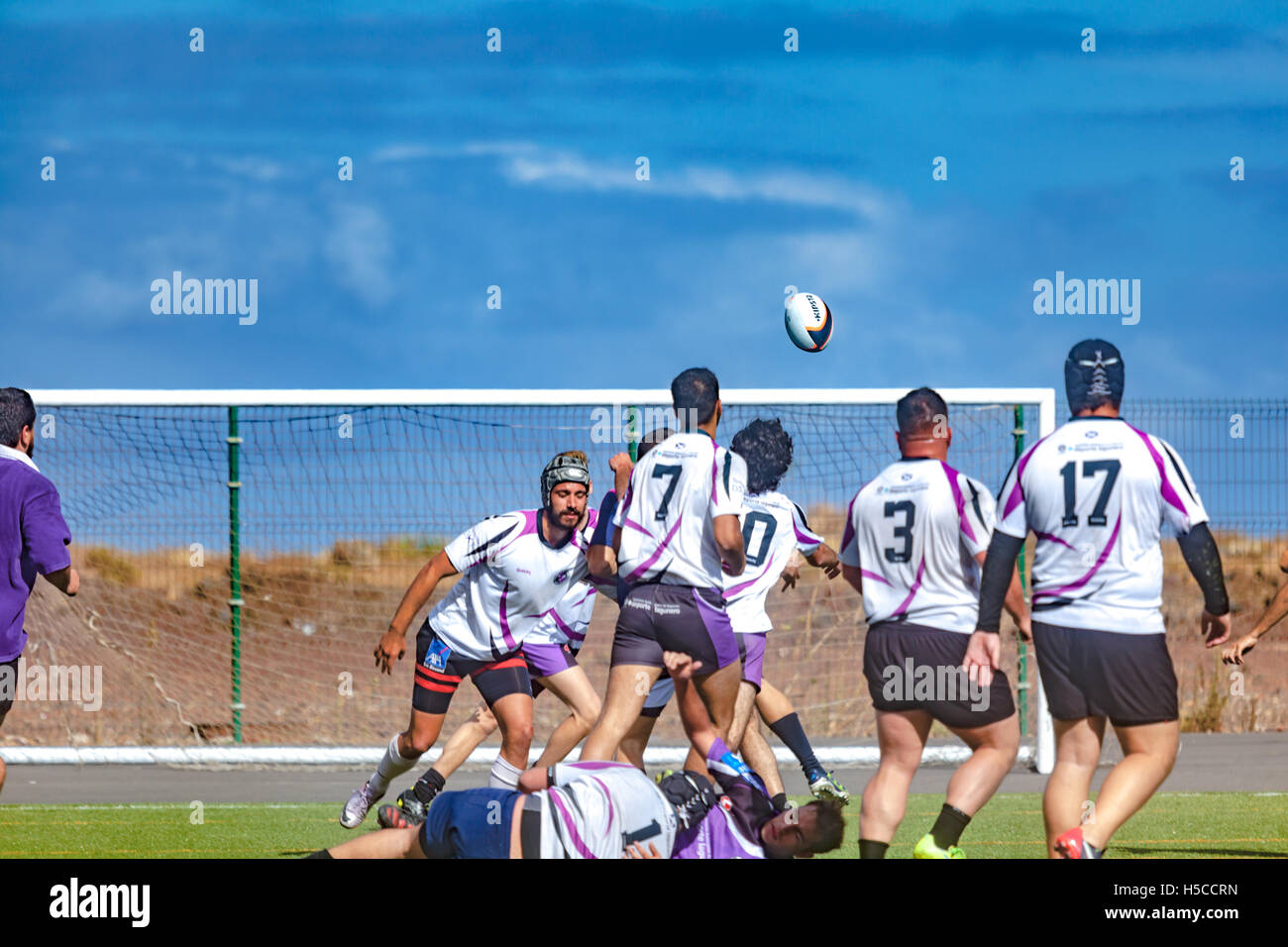 male adult rugby match Stock Photo - Alamy