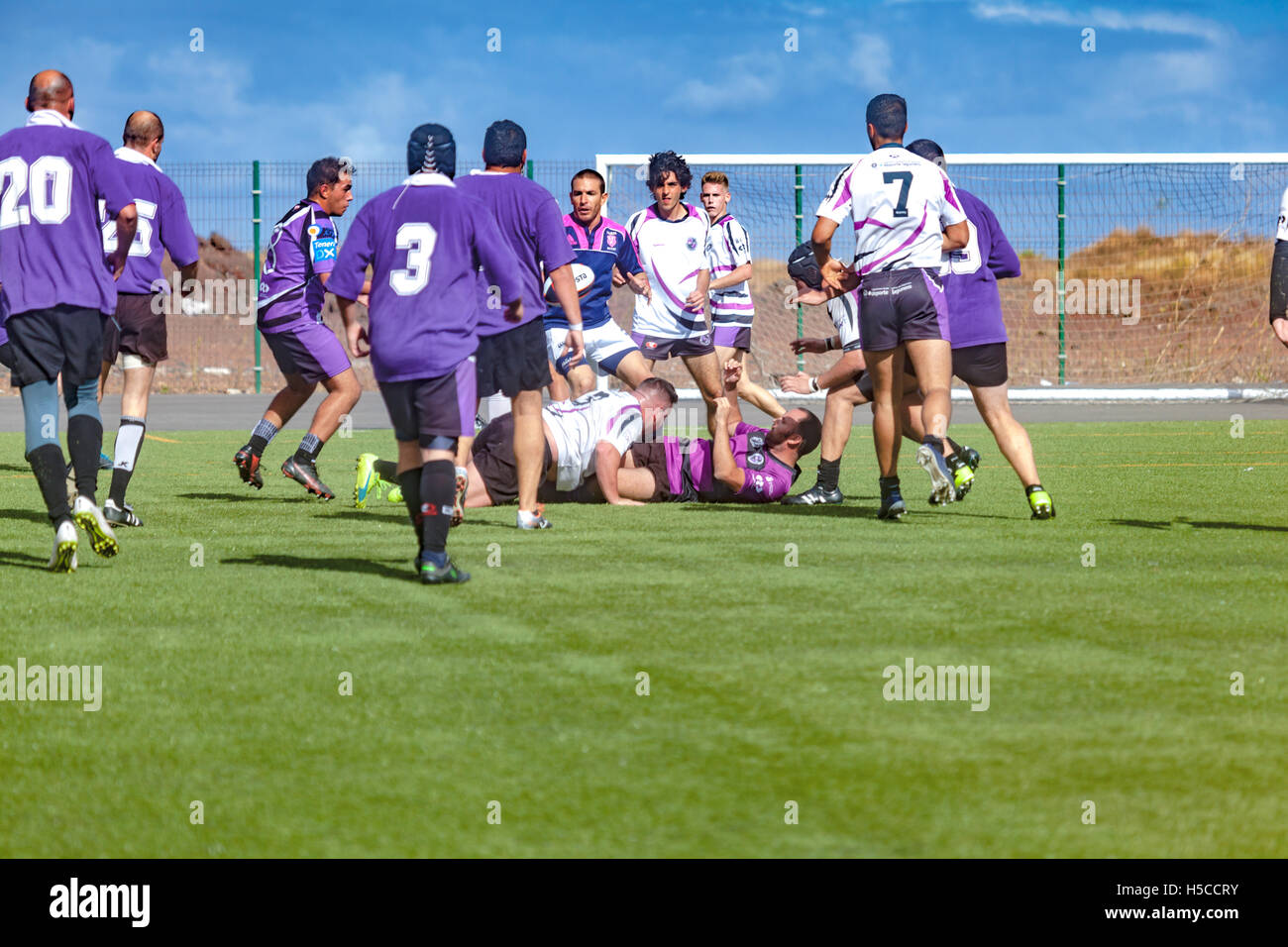 male adult rugby match Stock Photo - Alamy