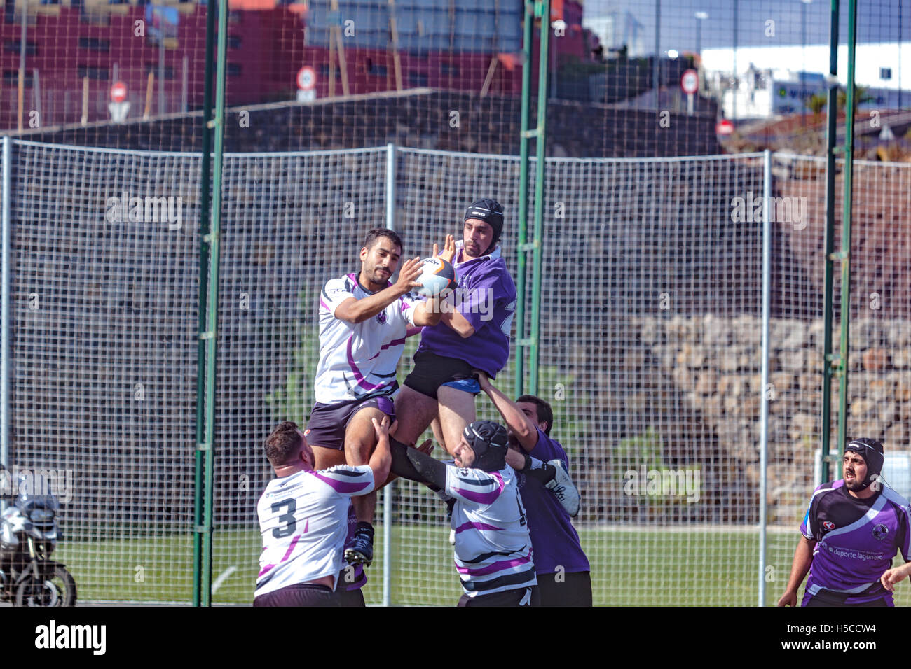 male adult rugby match Stock Photo - Alamy