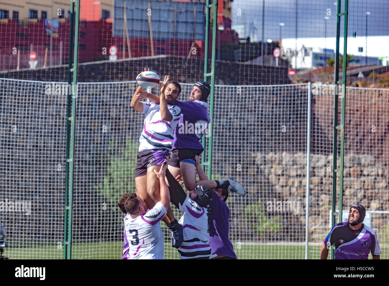 male adult rugby match Stock Photo - Alamy