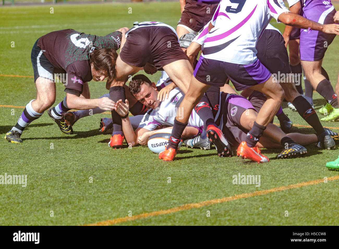 male adult rugby match Stock Photo - Alamy