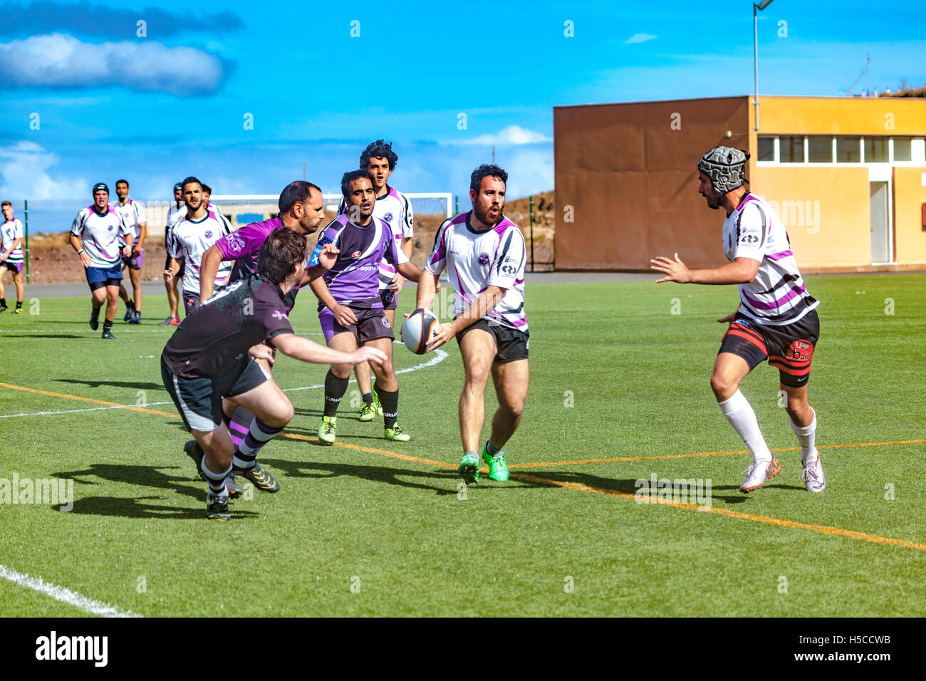 male adult rugby match Stock Photo - Alamy