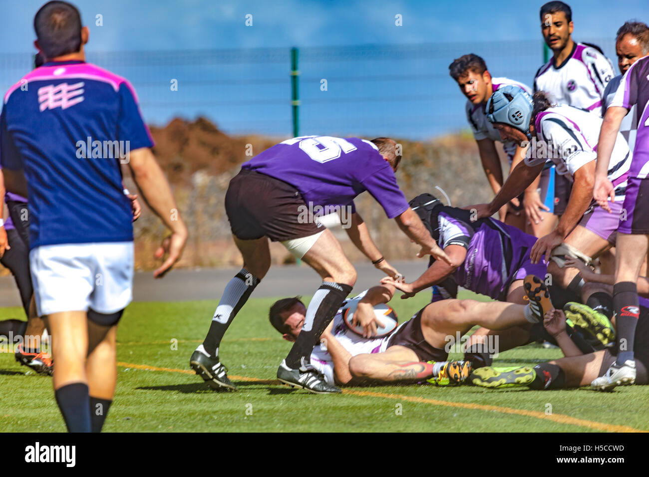 male adult rugby match Stock Photo - Alamy