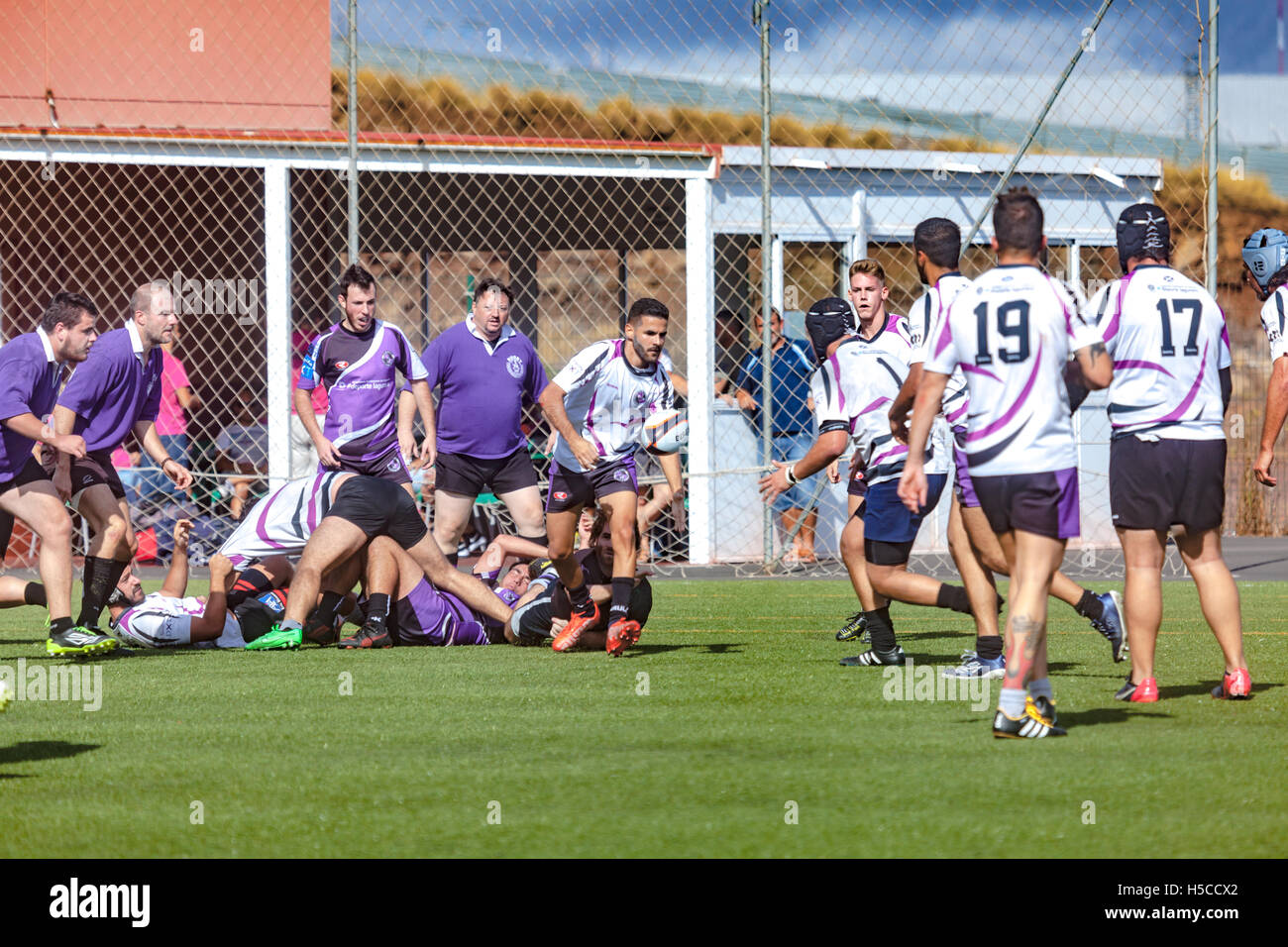 male adult rugby match Stock Photo - Alamy