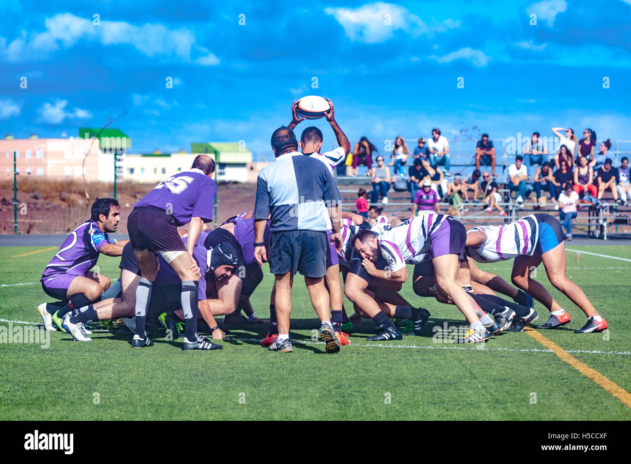 male adult rugby match Stock Photo - Alamy