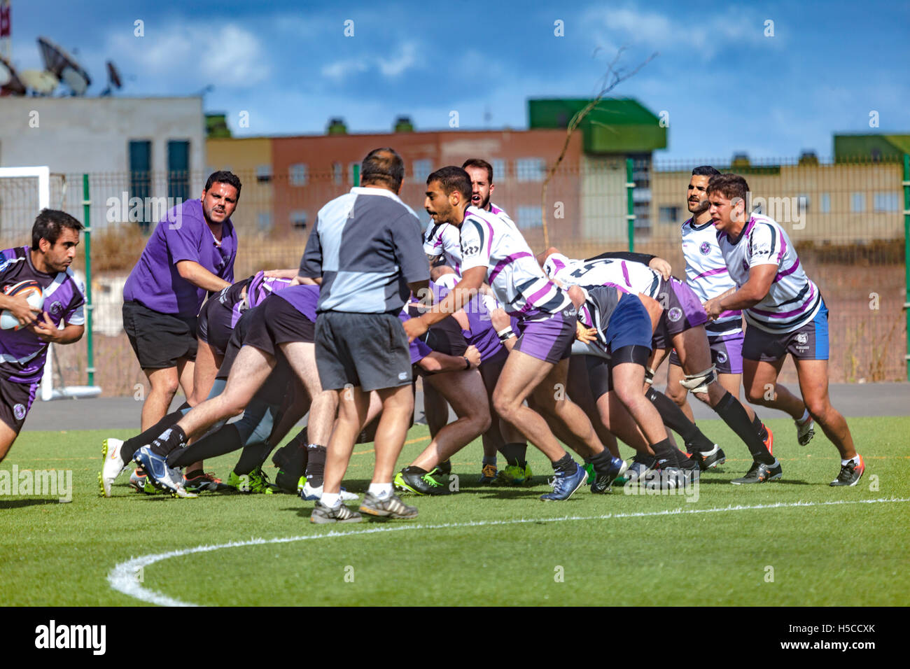 male adult rugby match Stock Photo - Alamy