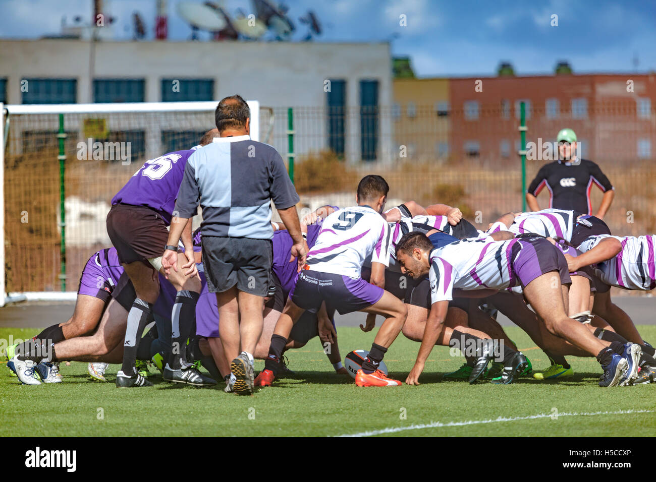 male adult rugby match Stock Photo - Alamy
