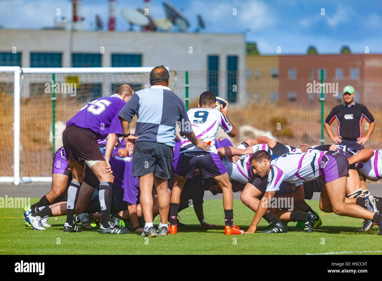 male adult rugby match Stock Photo - Alamy