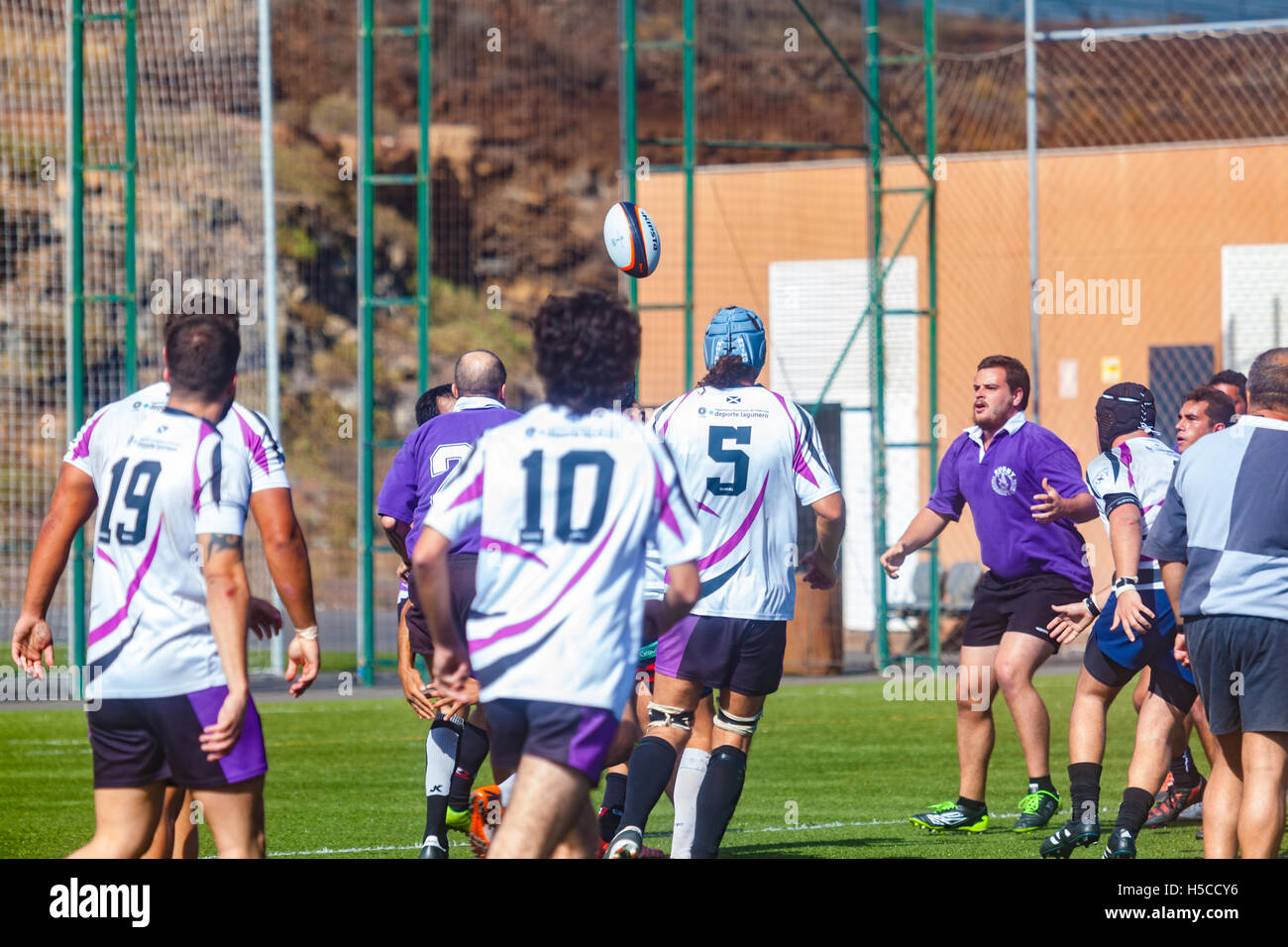 male adult rugby match Stock Photo - Alamy