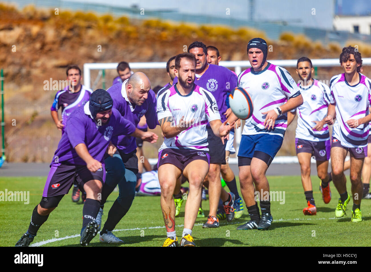 male adult rugby match Stock Photo - Alamy