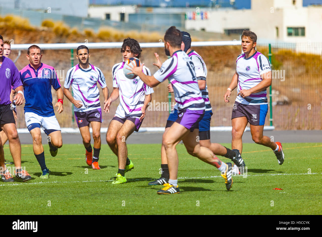 male adult rugby match Stock Photo - Alamy