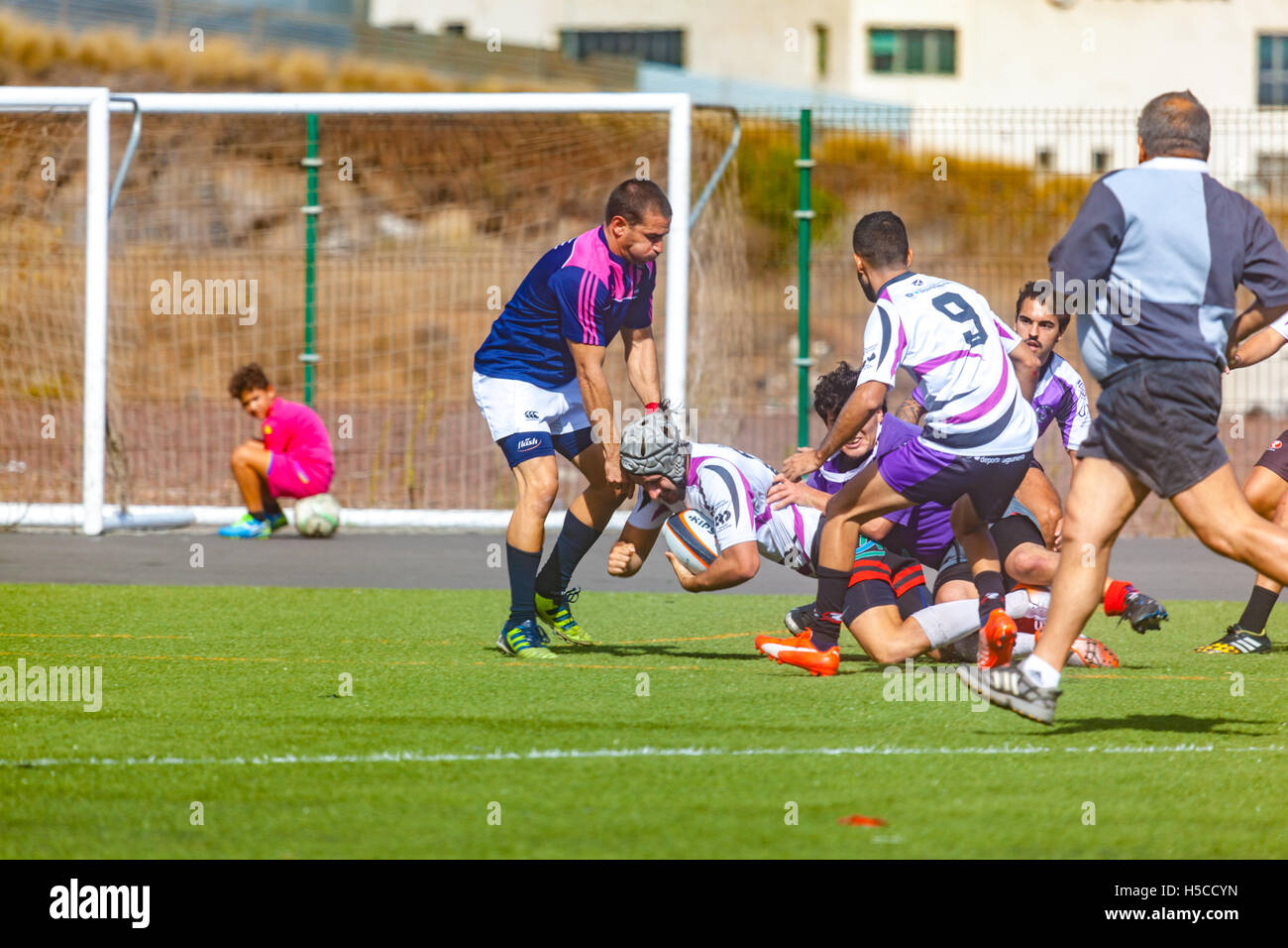 male adult rugby match Stock Photo - Alamy