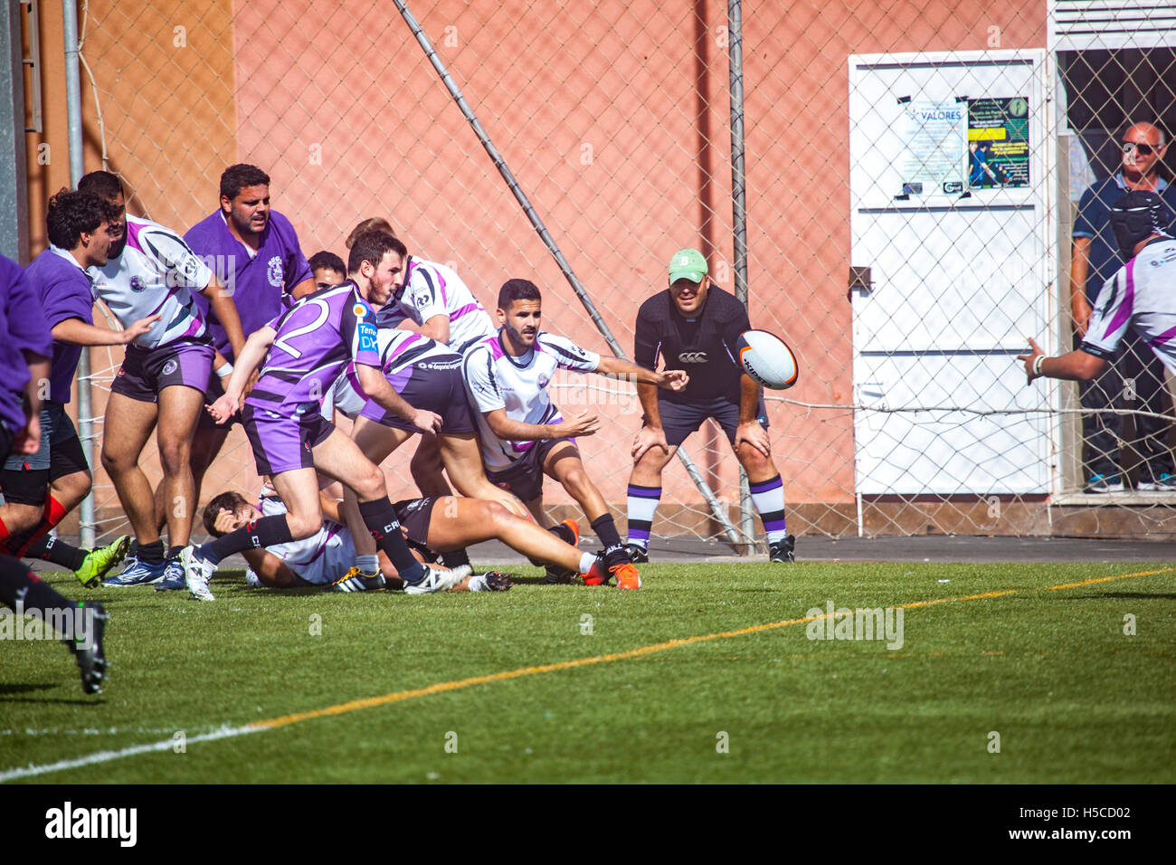 male adult rugby match Stock Photo - Alamy