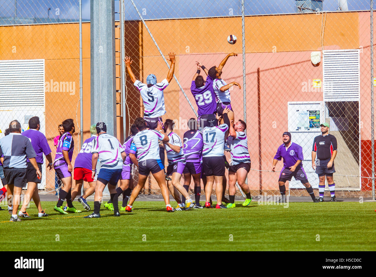 male adult rugby match Stock Photo - Alamy