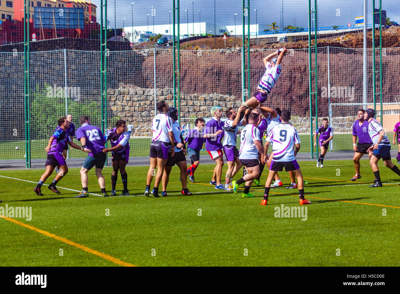 male adult rugby match Stock Photo - Alamy