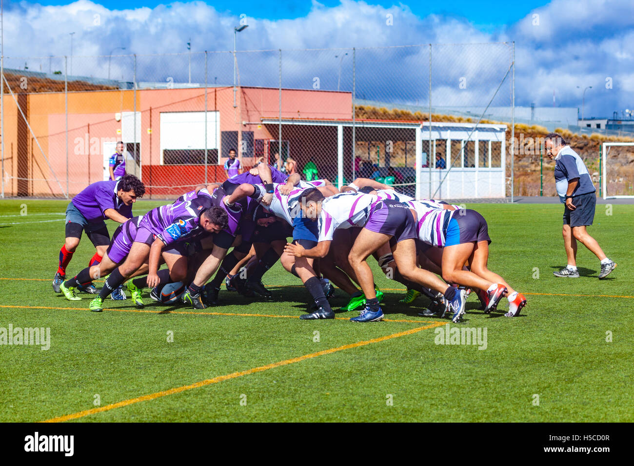 male adult rugby match Stock Photo - Alamy