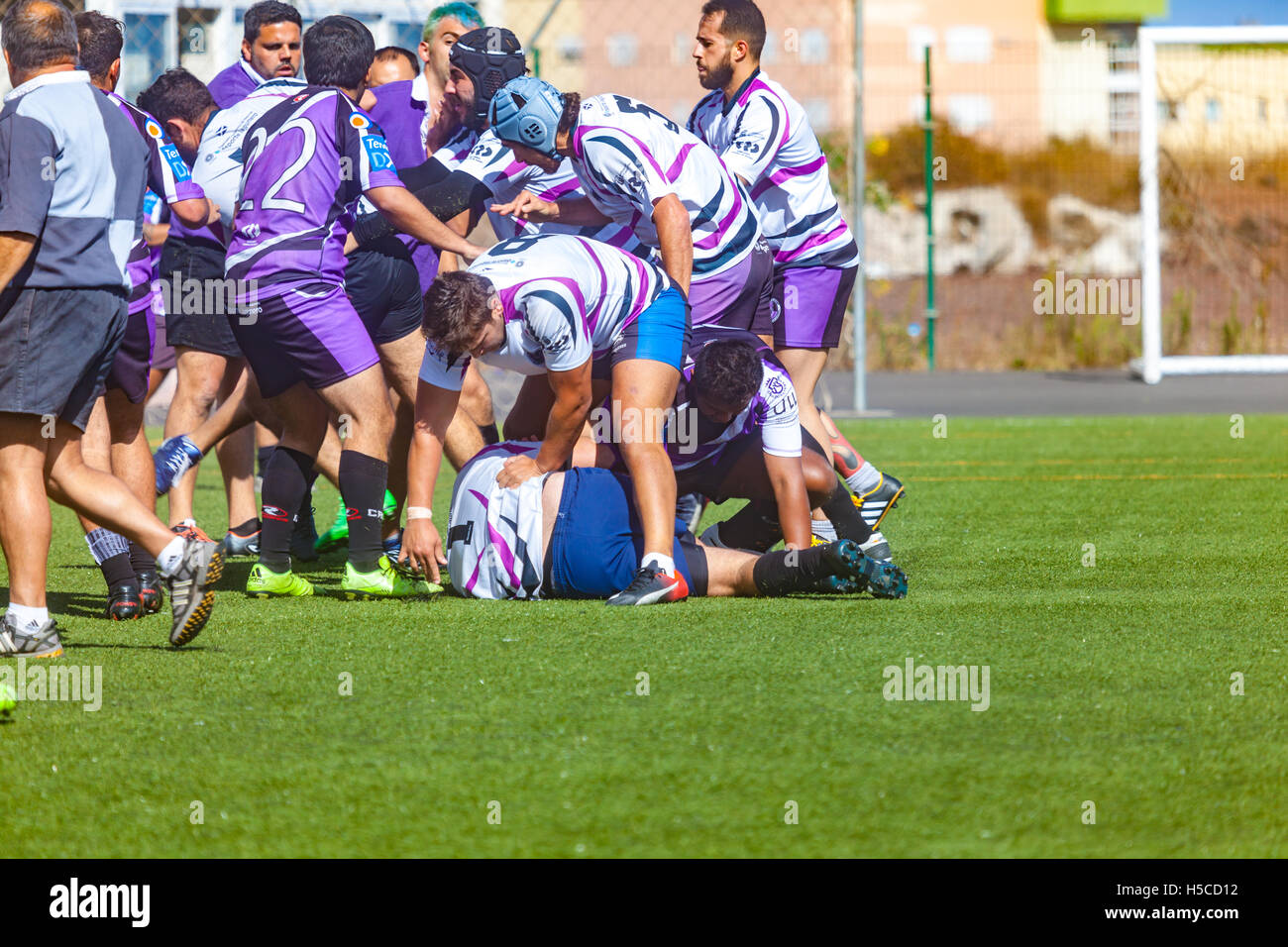 male adult rugby match Stock Photo - Alamy