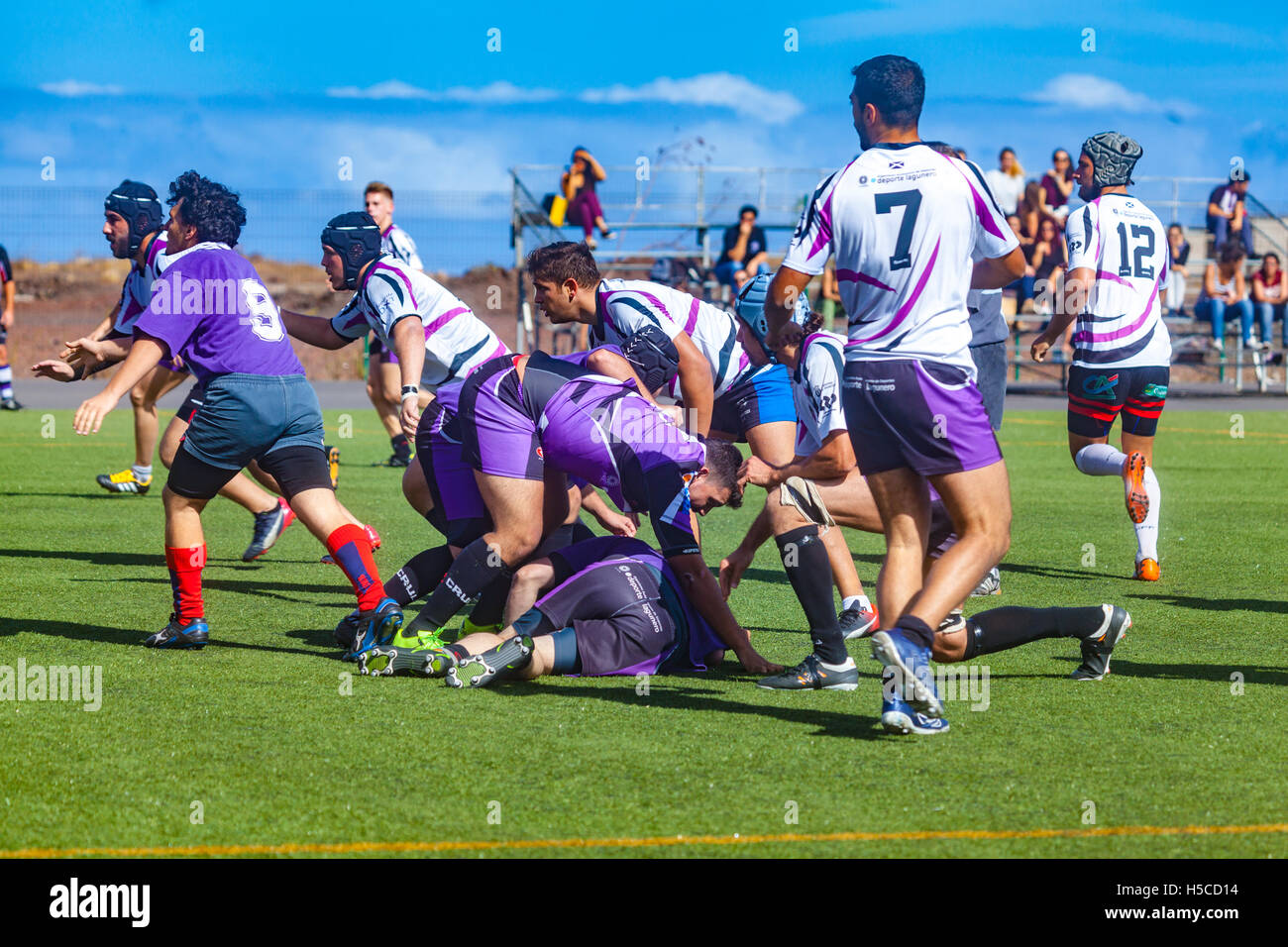 male adult rugby match Stock Photo - Alamy