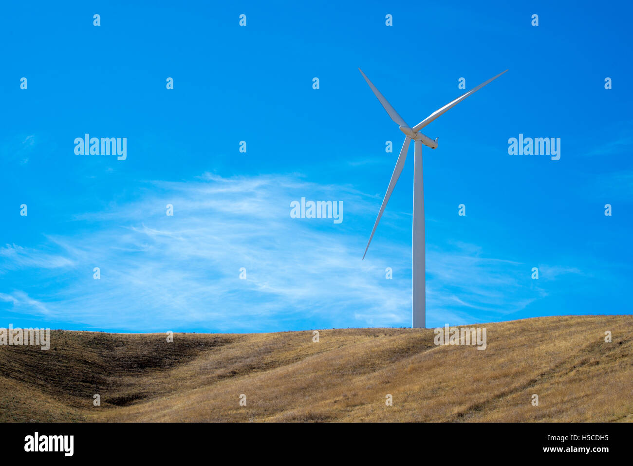 Single wind turbine on top of a hill Stock Photo - Alamy
