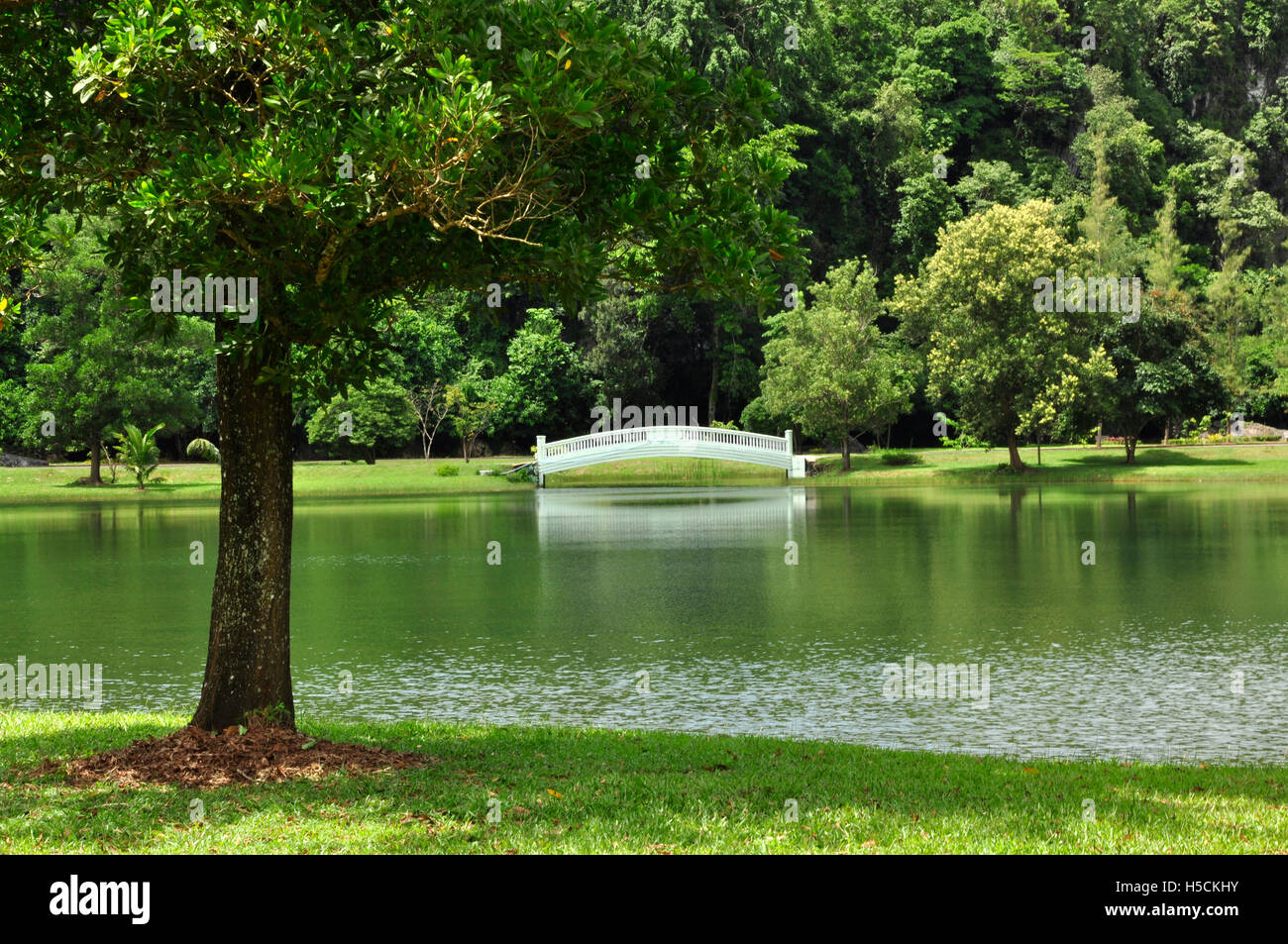 City park, Phangnga Stock Photo - Alamy