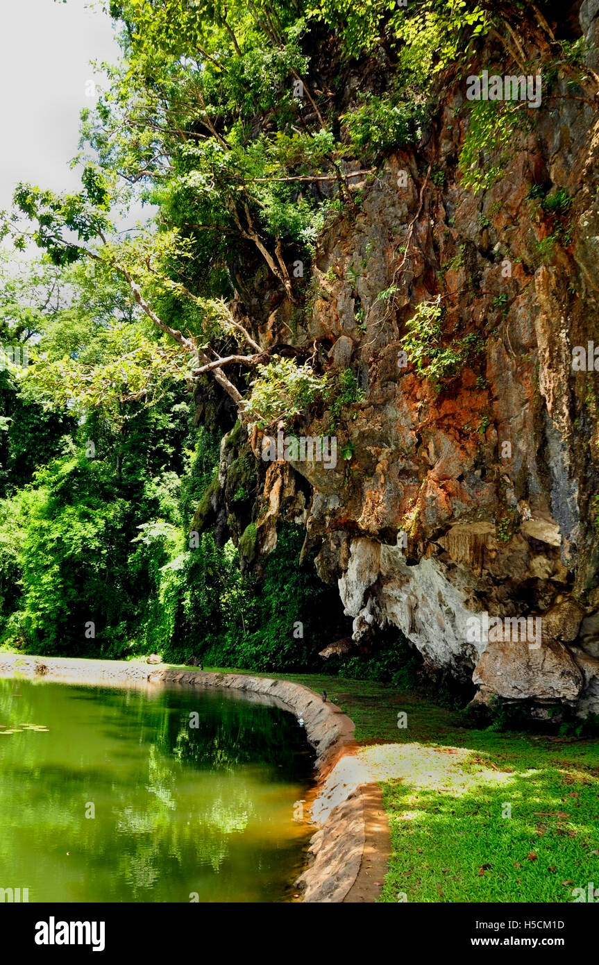 City park, Phangnga Stock Photo - Alamy