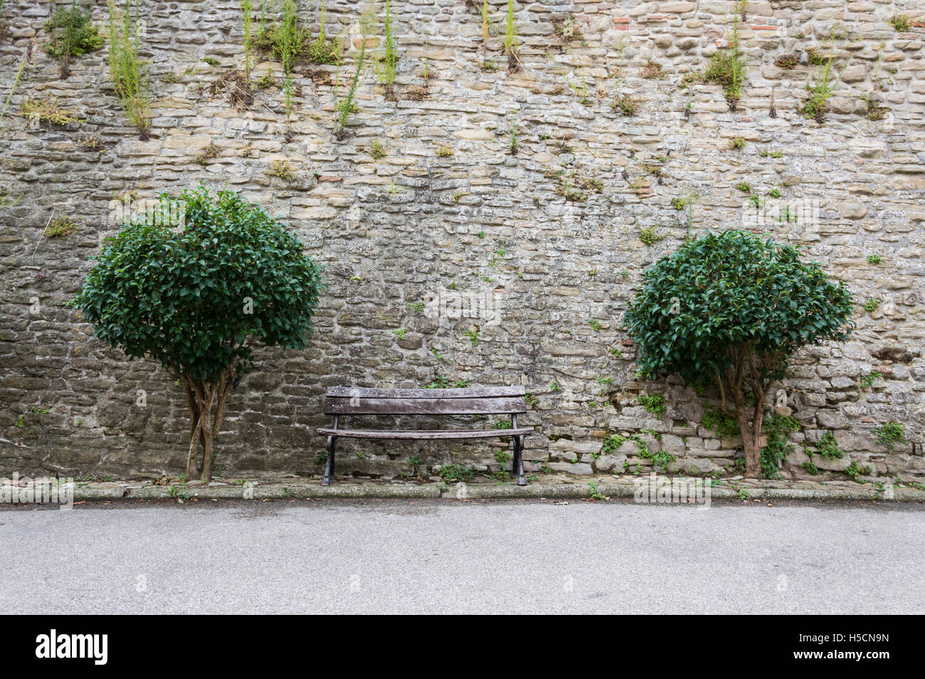 Short trees hi-res stock photography and images - Alamy