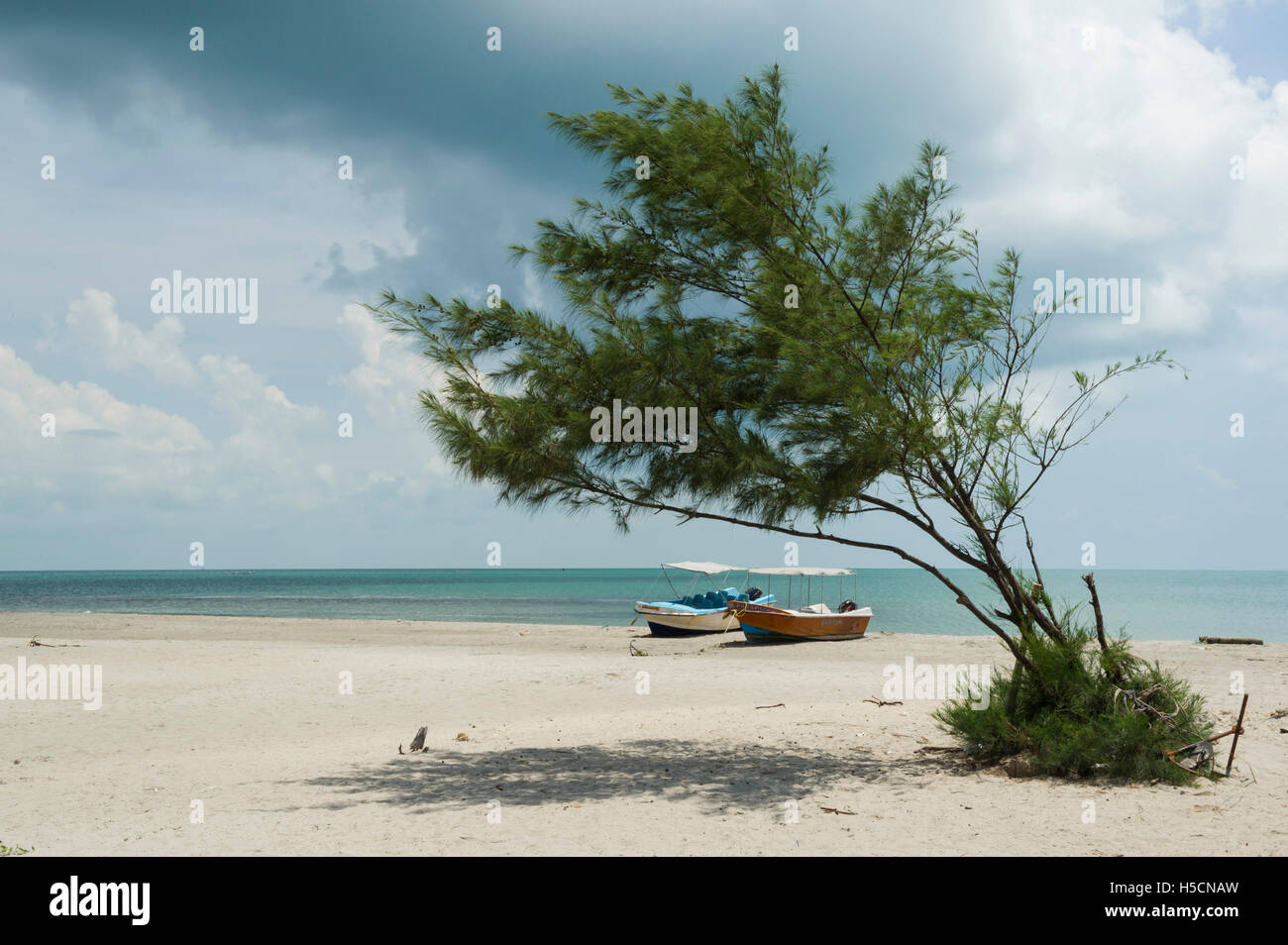 Casuarina beach, Karainagar, Jaffna Peninsula, Sri Lanka Stock Photo - Alamy