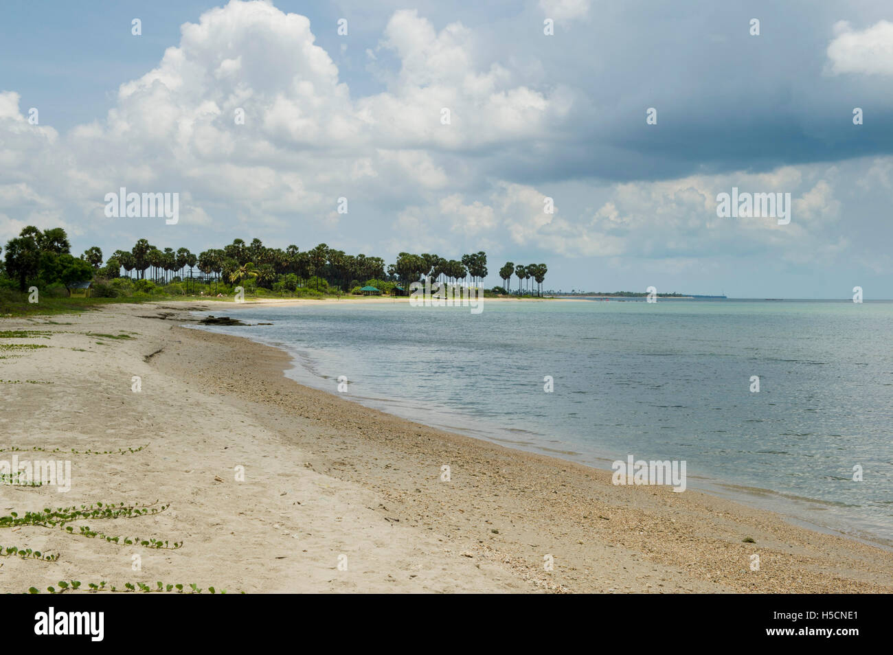 Beach, Jaffna Peninsula, Sri Lanka Stock Photo - Alamy