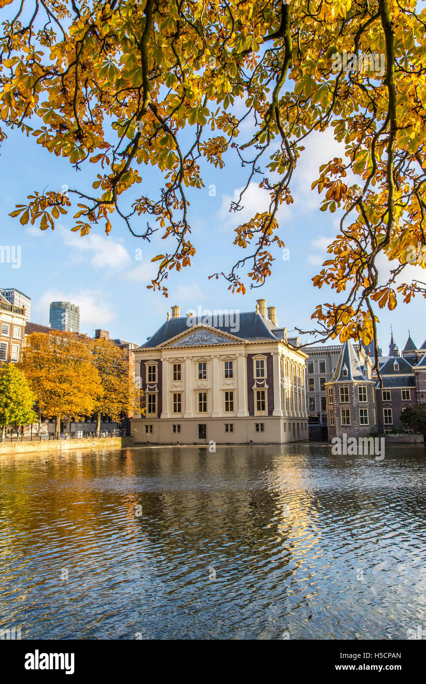 The Hague, capital of the Netherlands, Mauritshuis museum, royal ...