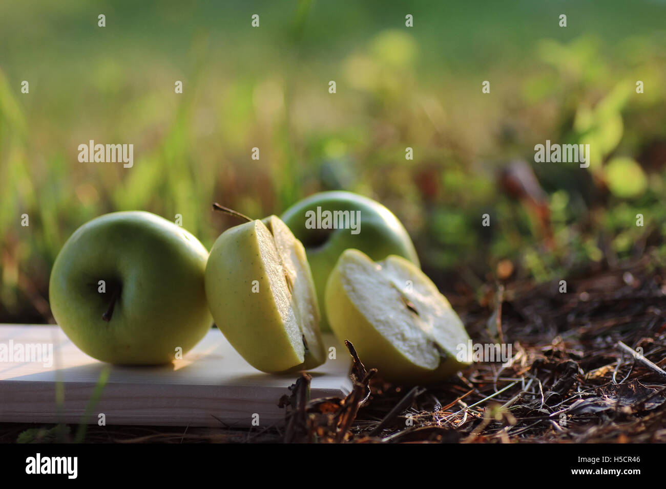 apple on the ground outdoor Stock Photo - Alamy