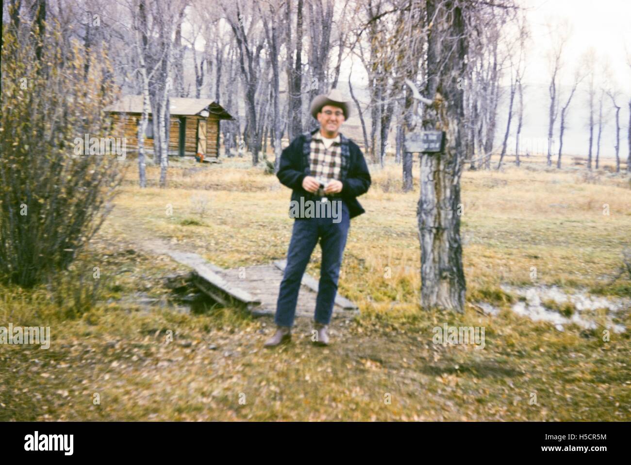 Small bridge tree next hi-res stock photography and images - Alamy