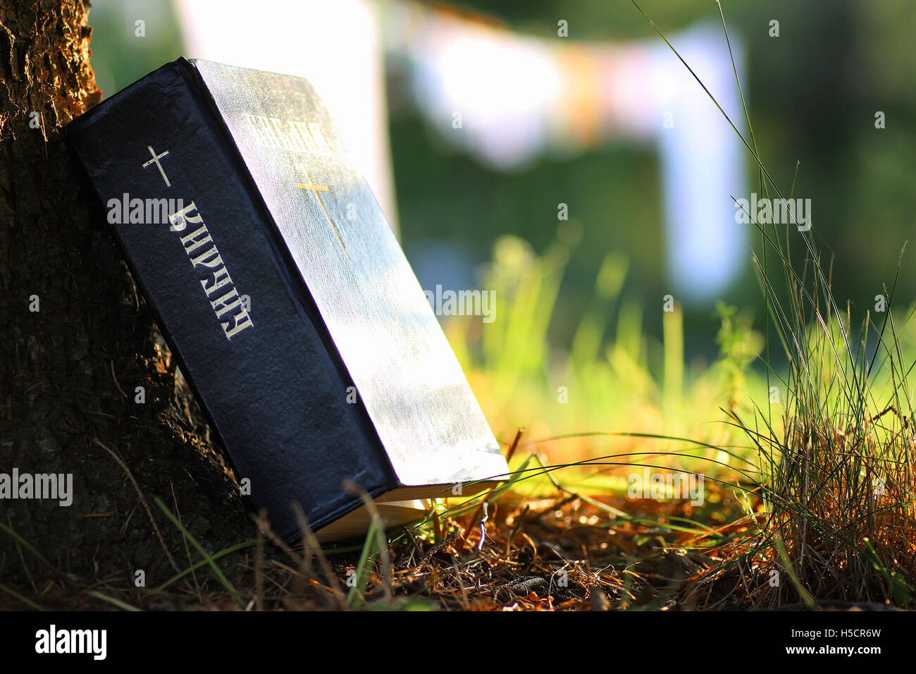 inscription on the book of the Bible "Bible" with cross in natur Stock ...