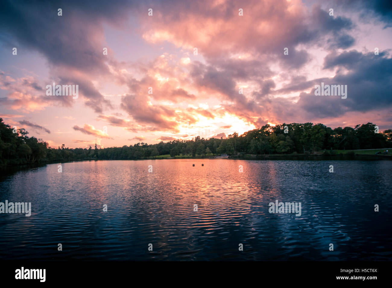 Tilgate park hi-res stock photography and images - Alamy