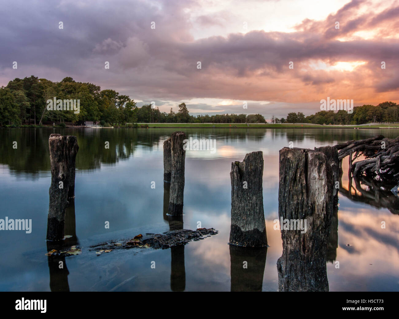 Tilgate park hi-res stock photography and images - Alamy