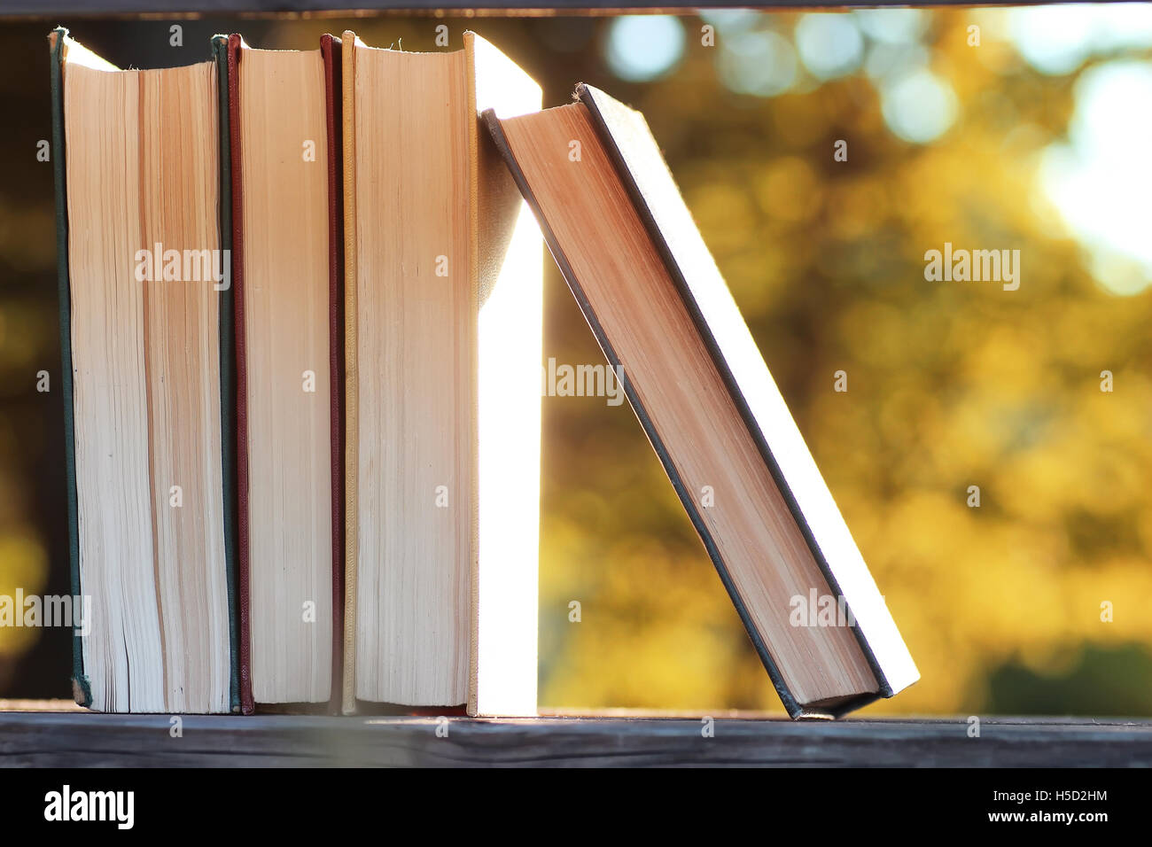 autumn book stack wooden outdoor Stock Photo - Alamy