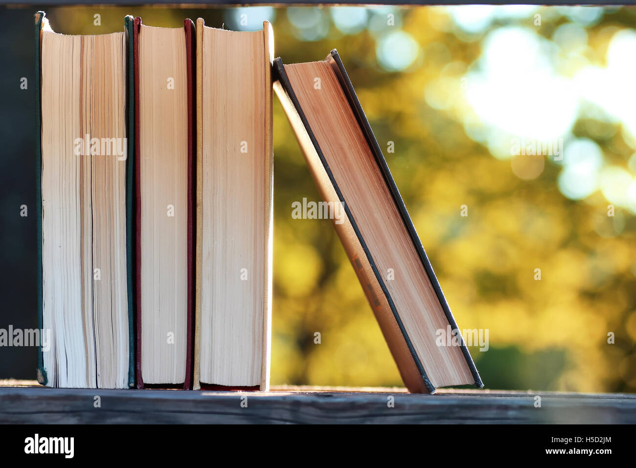 autumn book stack wooden outdoor Stock Photo - Alamy