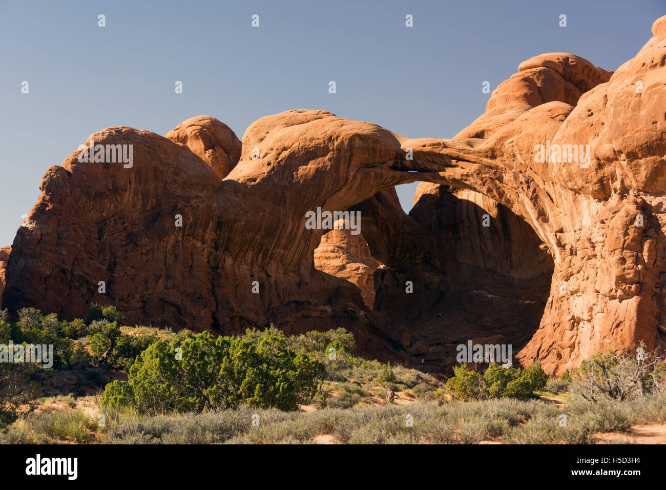 Double arch windows hi-res stock photography and images - Alamy