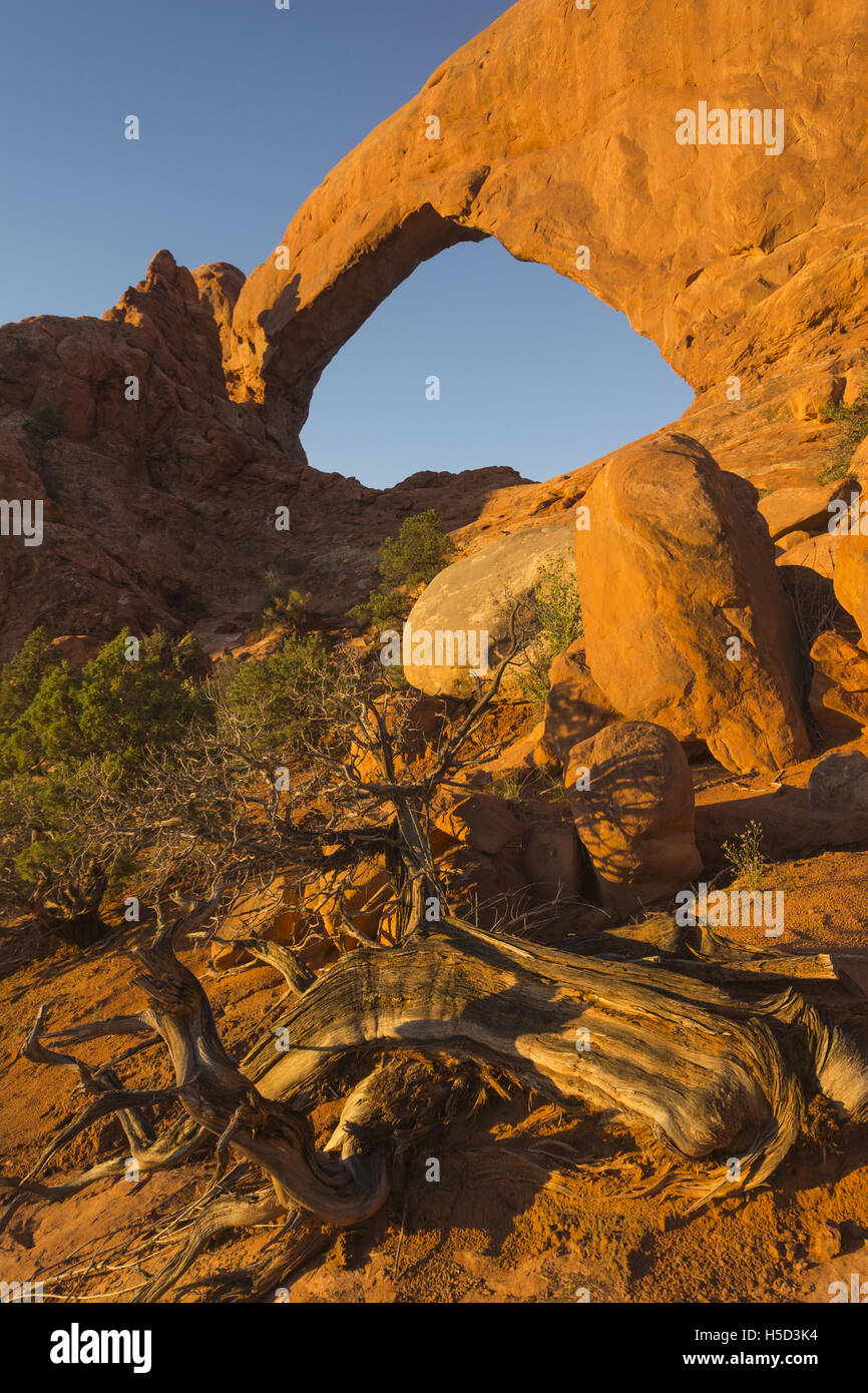 Utah, Arches National Park, Windows Section, North Window Stock Photo ...