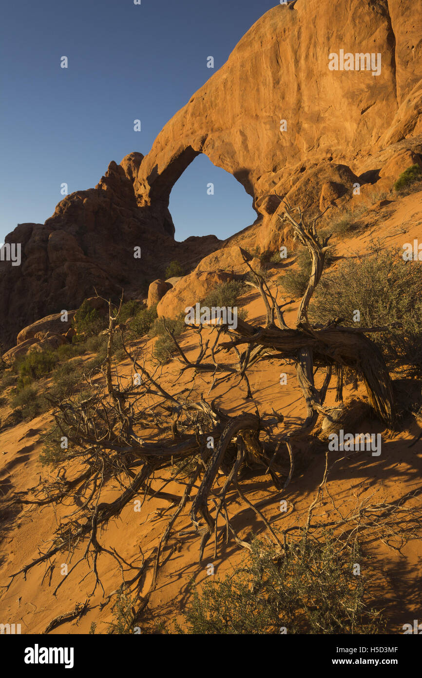 Utah, Arches National Park, Windows Section, North Window Stock Photo ...