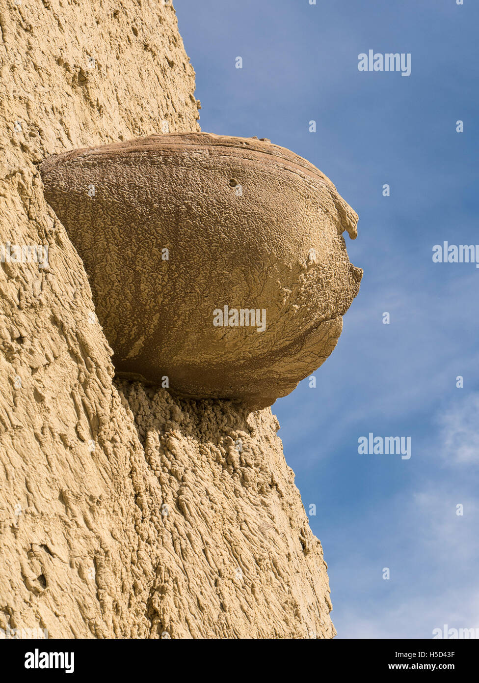 Cannon ball concretions High Resolution Stock Photography and Images ...