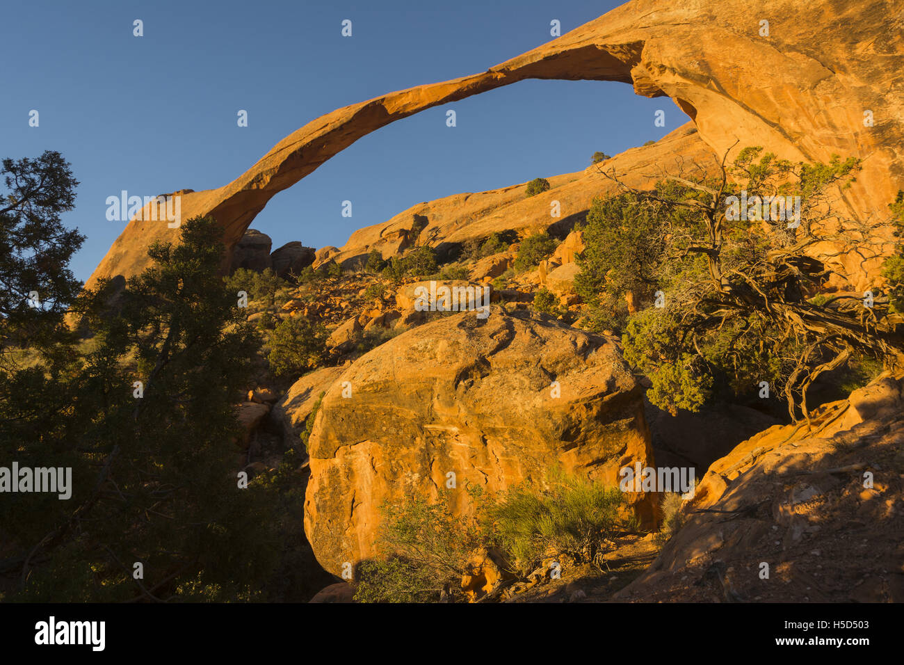 Devils garden hi-res stock photography and images - Alamy