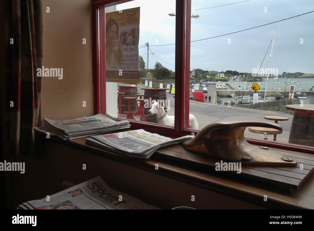Dog outside Bushe's Bar in Baltimore, County Cork, Ireland Stock Photo ...