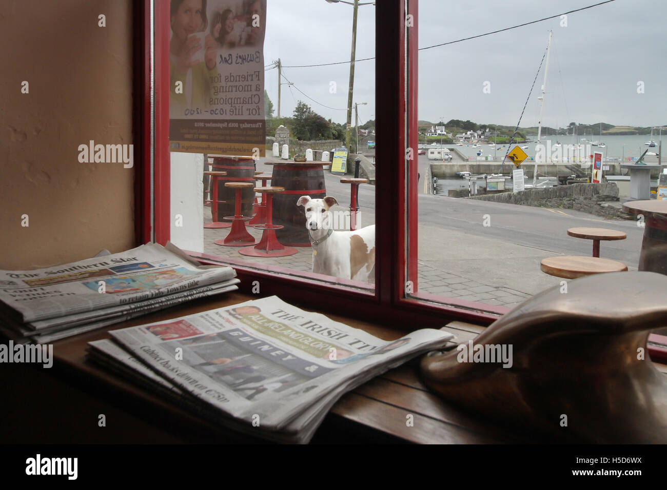 Bushes bar hi-res stock photography and images - Alamy