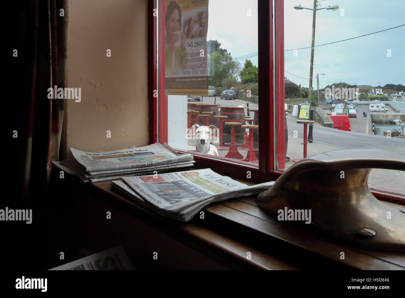 Bushes bar hi-res stock photography and images - Alamy