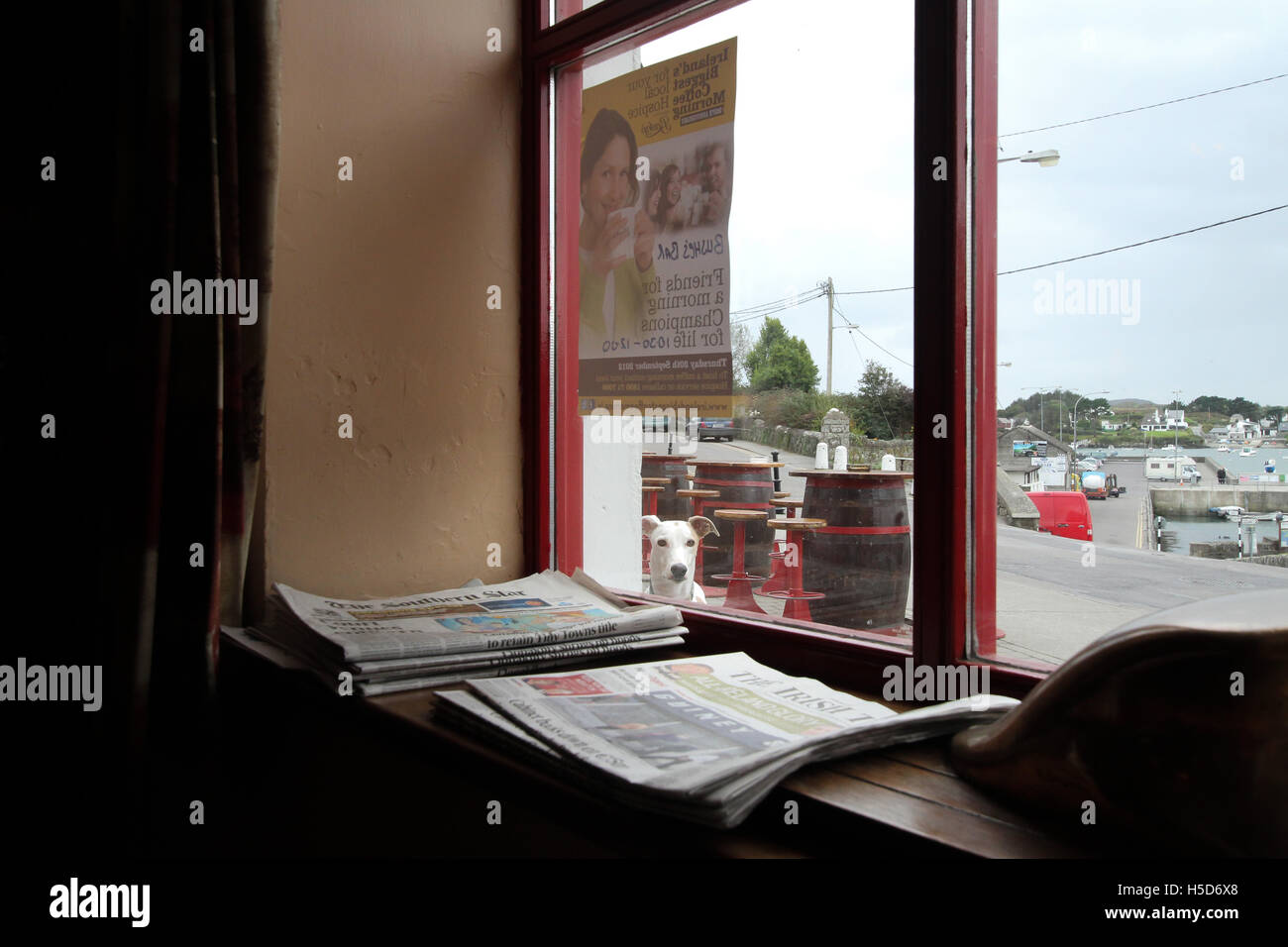 Dog outside Bushe's Bar in Baltimore, County Cork, Ireland Stock Photo ...